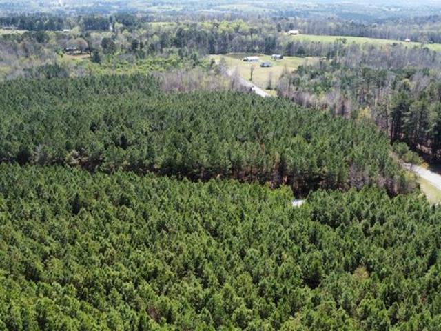 Robin Hill Rd, Oneonta, AL 35121