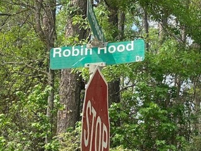 Robin Hood Ln, Shepherd, TX 77371