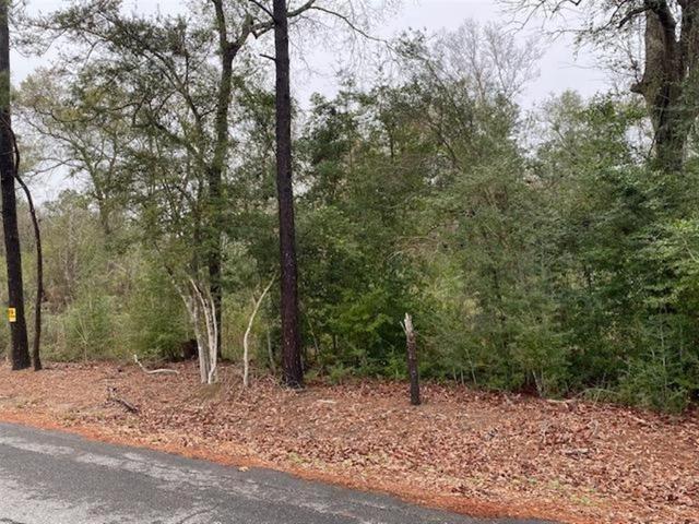 Robin Ln Lake, Charles, LA 70611 | MLS #SWL26000