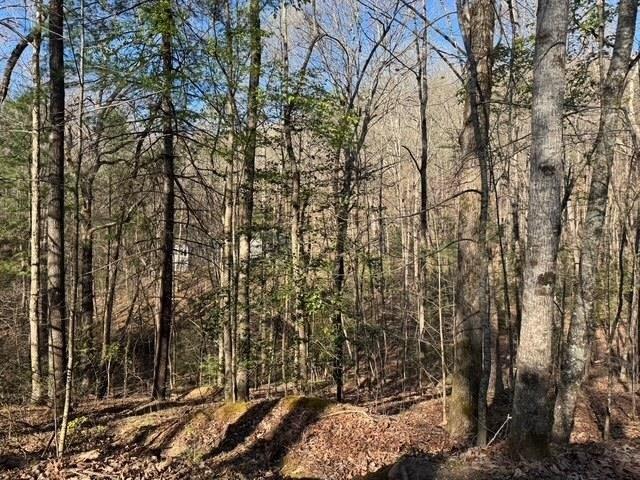 Robin Rd Lots 12 & 13, Murphy, NC 28906
