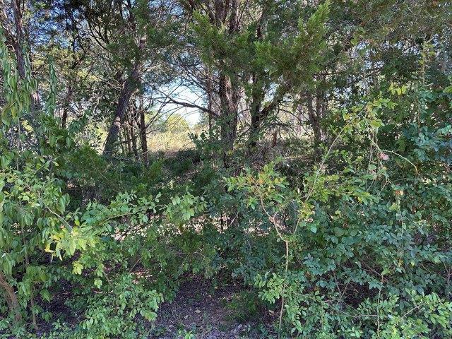 Robin Run Lot 9, Bastrop, TX 78602