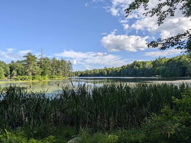 Robin Shore Dr, Canterbury, Plot For Sale
