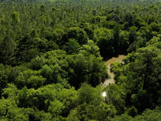 Robinson Rd, Baconton, GA 31716