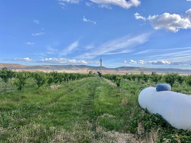 Robinson Rd, Grandview, WA 98930