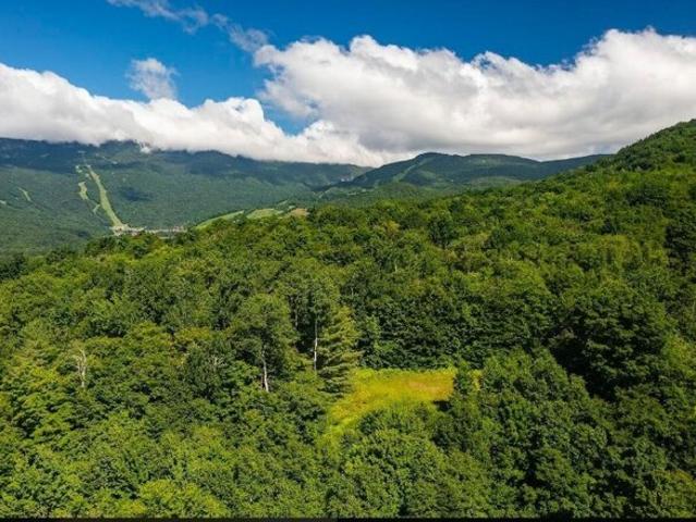 Robinson Springs Rd Lot,stowe, Plot For Sale