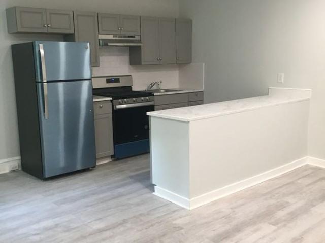 Rochelle Arms 1 Bedroom Apartment for Rent at 320 Rochelle Ave, Philadelphia, PA 19128 Manayunk