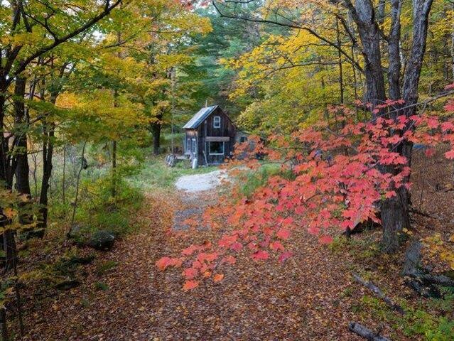 Rochester VT 05767 103667362