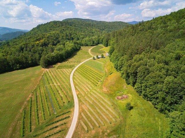 Rochester VT 05767 LS101628037