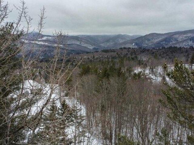 Rochester VT 05767 LS101706095