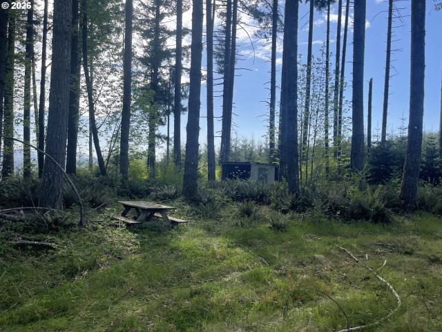 Rock Creek Rd