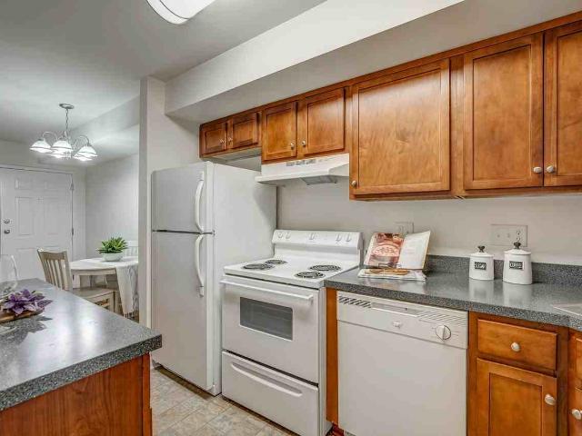 Rock Creek 2 Bedroom Apartment for Rent at 2830 Broad Rock Blvd, Richmond, VA 23224 South Garden
