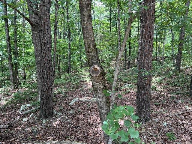 Rock Hill Rd, Fairfield Bay, AR 72088