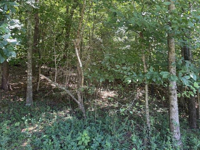 Rock Hill Rd, Newport, TN 37821