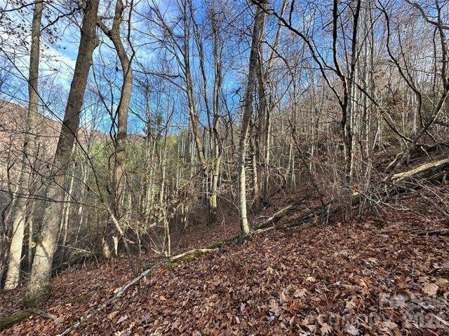 Rock House Cove Rd Unit,clyde, Plot For Sale