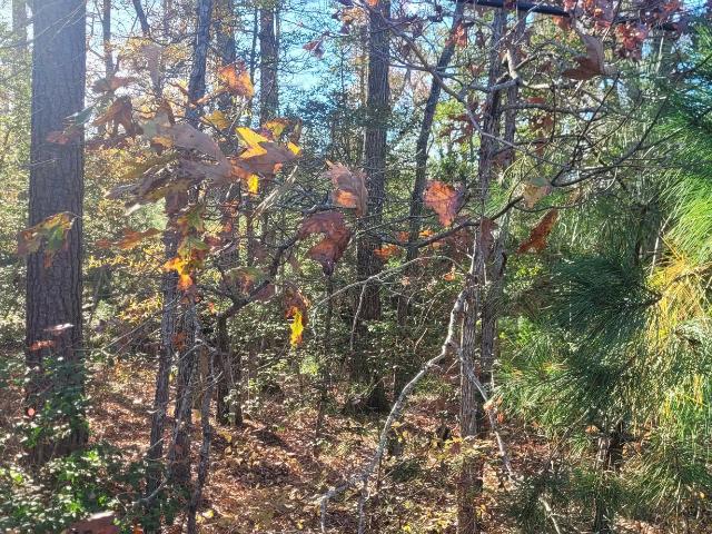 Rock Point, Newburg, MD 20664 | MLS #MDCH2049