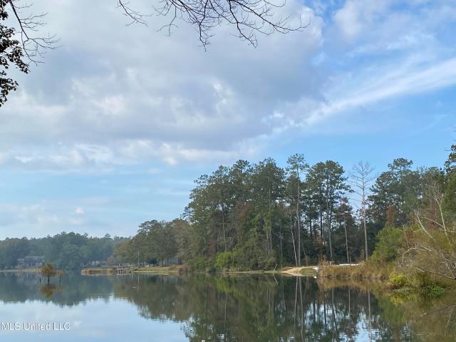 Rock Ranch Rd, Picayune, MS 39466 | MLS #4032 | Compass