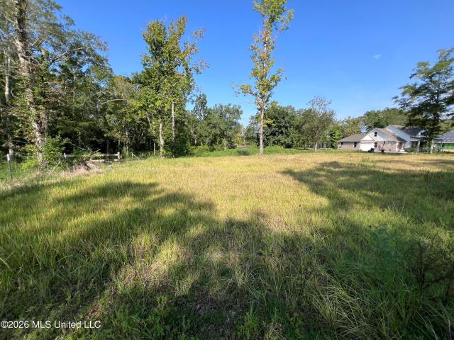 Rock Ranch Road, Carriere, MS 39426