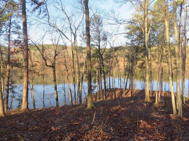 Rock Ridge Ln Lot 3, Arley, AL 35541