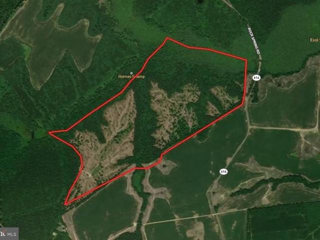 Rock Spring Rd, King, VA 23085