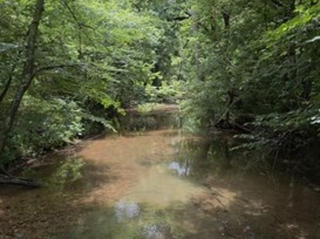 Rock Springs Rd, Ethridge, TN 38456