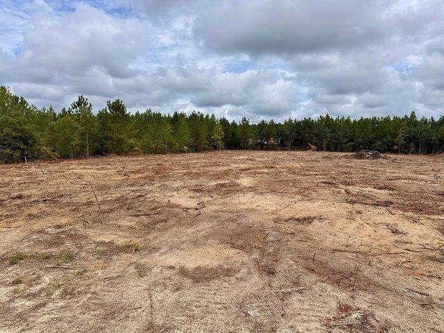 Rock Springs Rd Lot A, Dublin, GA 31021