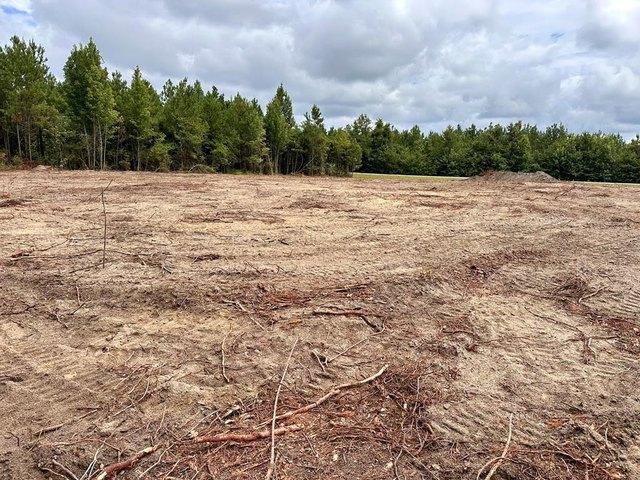 Rock Springs Rd Lot B, Dublin, GA 31021
