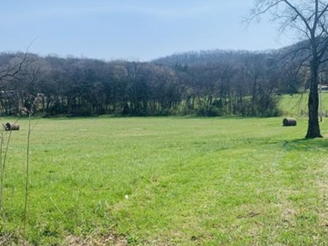 Rock Springs Rd, Watertown, TN 37184