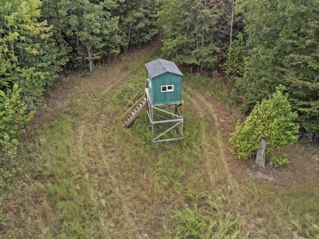 Rockcastle Rd, Cadiz, KY 42211