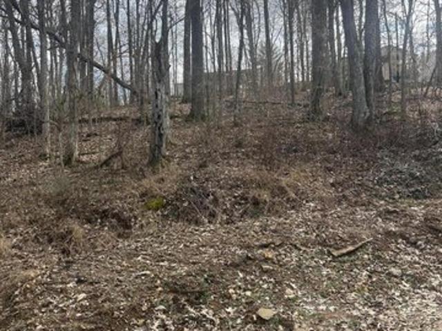 Rockastle Shores Ferrell Cir Unit 26I, Cadiz, KY 42211