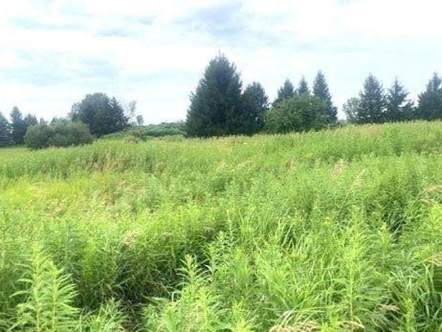 Rockbrook Estates Rd, Evans Mills, NY 13637