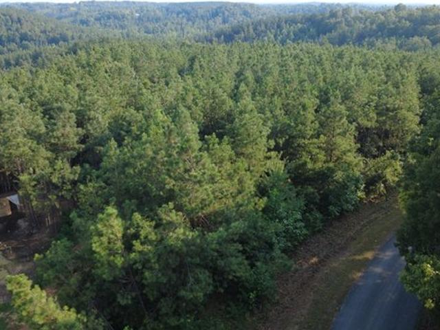 Rockhouse Rd, Linden, TN 37096