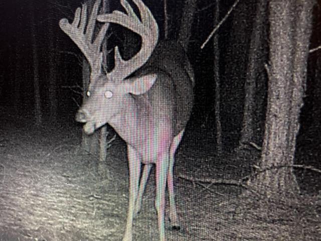 Rockhill Road, Starkville, MS 39759