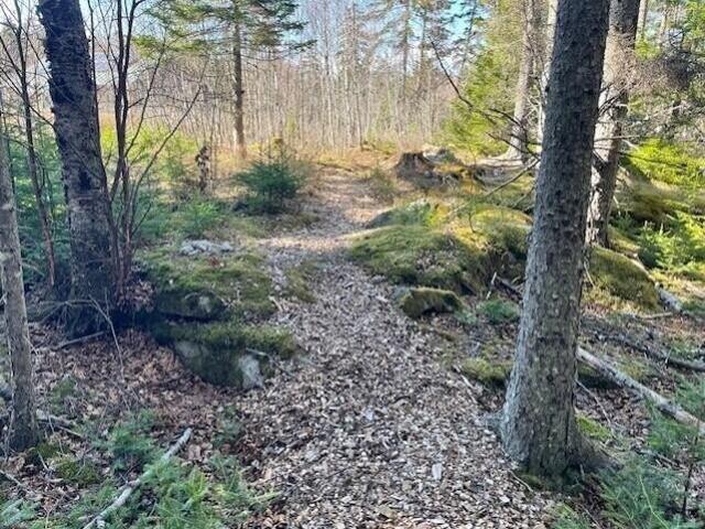 Rockledge Rd, South Thomaston, Plot For Sale