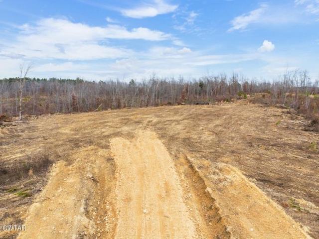 Rockport McIllwain Rd, Holladay, TN 38341