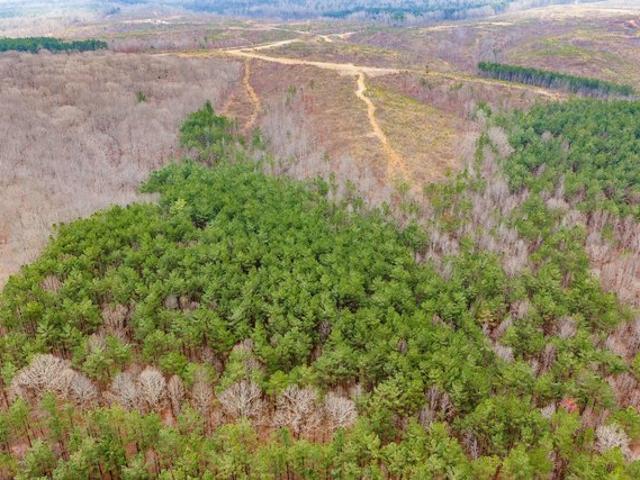 Rockport McIllwain Rd, Holladay, TN 38341