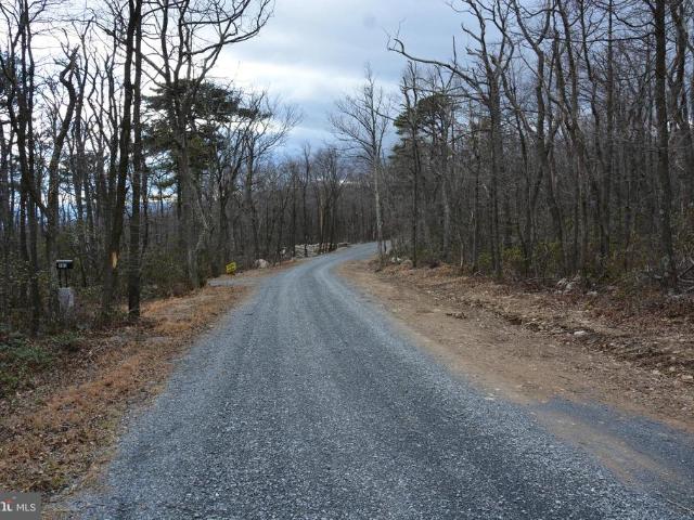 Rockwood Trail # 49.61 acres