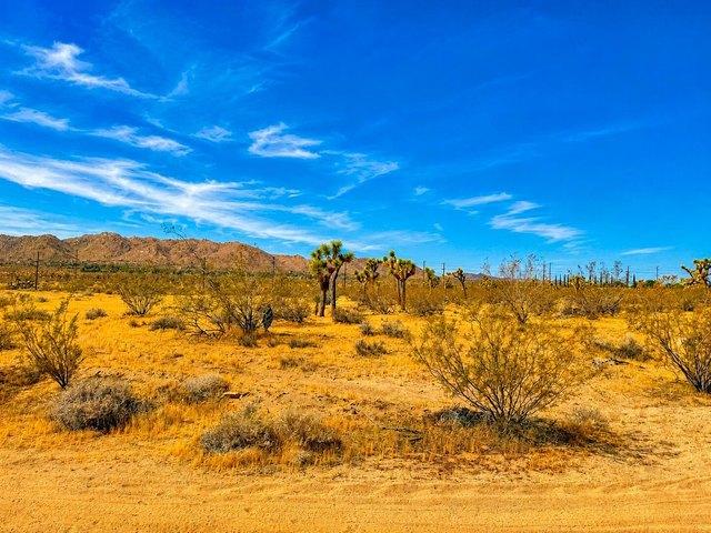 Rockwood Rd, Joshua Tree, CA 92252