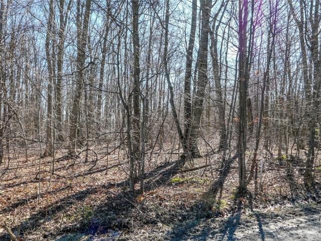 Rockwood Road