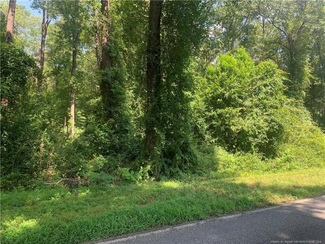 Rocky Fork Church rd Road, Sanford NC 27330