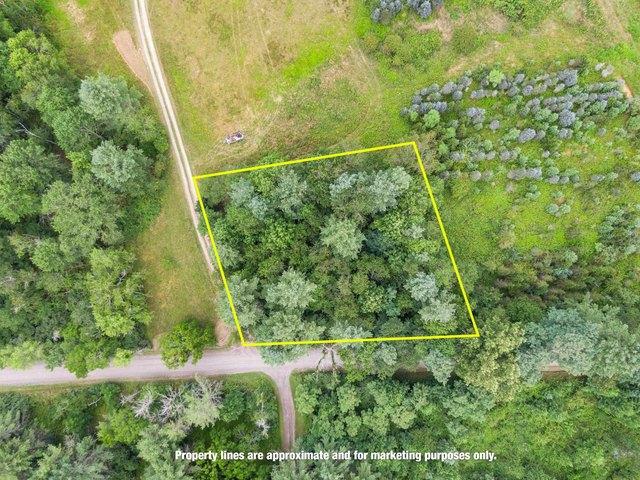 Rocky Hill Rd, Willis, VA 24380