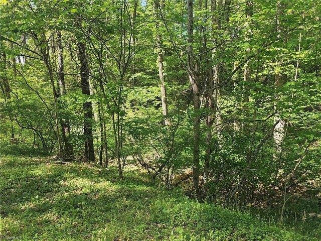 Rocky Ln, Wilkesboro, NC 28697
