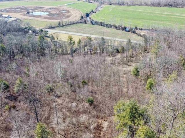 Rocky Ridge Ln, Fulks Run, Plot For Sale