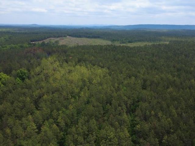 Rocky Ridge Rd, Columbiana, AL 35051