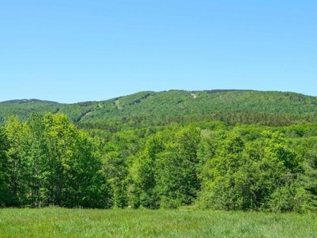 Rod And Gun Club Rd Lot,ludlow, Plot For Sale