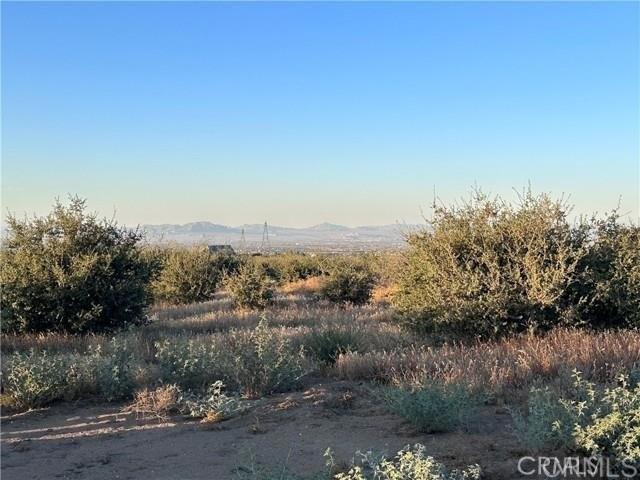 Rodeo, Phelan, CA 92371