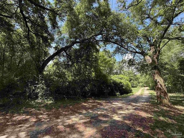 Rodella St, Pace, FL 32571