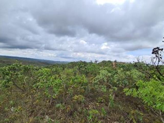 Rodovia DF 001 Altiplano Leste Terremos Altiplano leste 40 mil m²