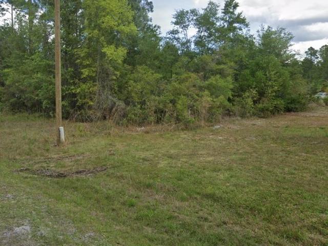 Roebuck St, Georgetown, FL 32139