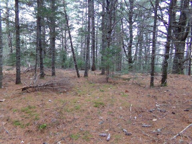 Rogers Point Rd Lot 3E, Steuben, ME 04680
