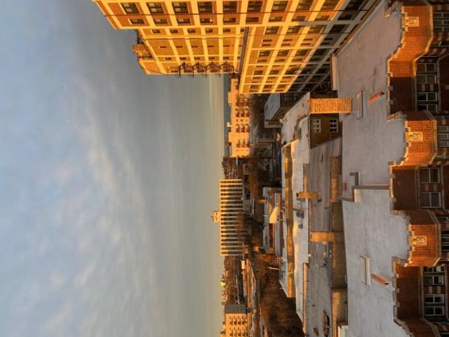 ROGERS PARK Bright Spacious 1 Bedroom Chicago